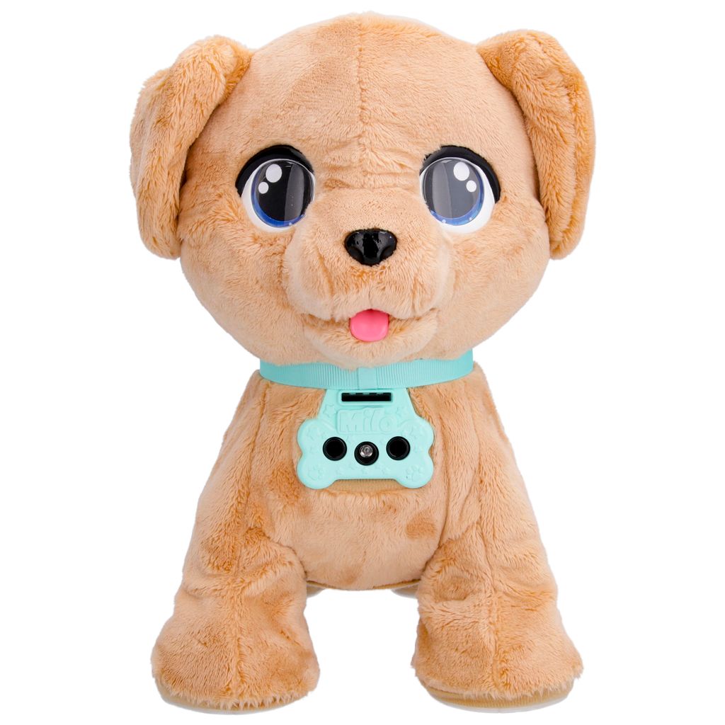 Club Petz Milo Interaktiv Hund - Toybox Sverige